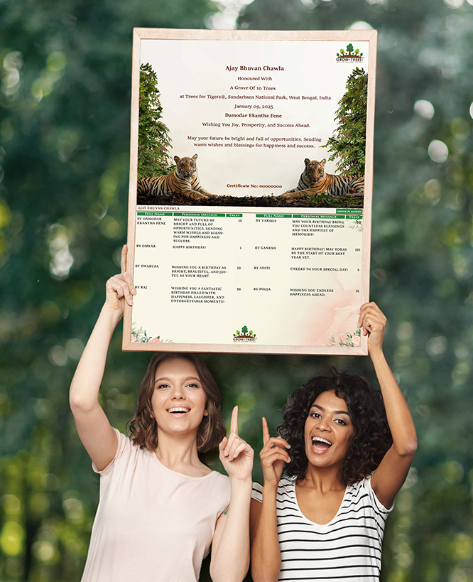 Gift Tree Online | Plant & Send eTreeCertificates® via Grow-Trees